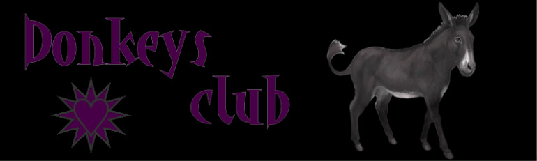 O nás :: Donkeys club